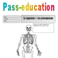 Squelette - Corps Humain - Exercices - Découverte du monde : 4ème ...