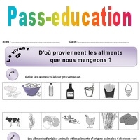 Aliments que nous mangeons - Exercices - Découverte du monde : 3eme ...