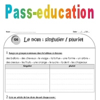 Pluriel - Singulier - Exercices sur le genre et le nombre : 4ème Harmos ...