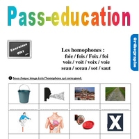 Les homophones lexicaux- Fiches foie/fois/Foix/foi - sot/seau/sceau/saut - voie/voix/ vois/voit ...